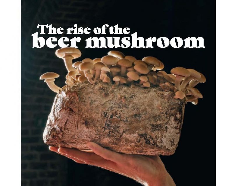 Magic mushrooms: the rise of the beer mushroom in Brussels – Florence ...